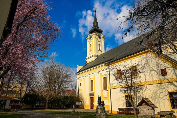 Otvaranje Svete Godine – Jubileja 2025. U Srijemskoj biskupiji